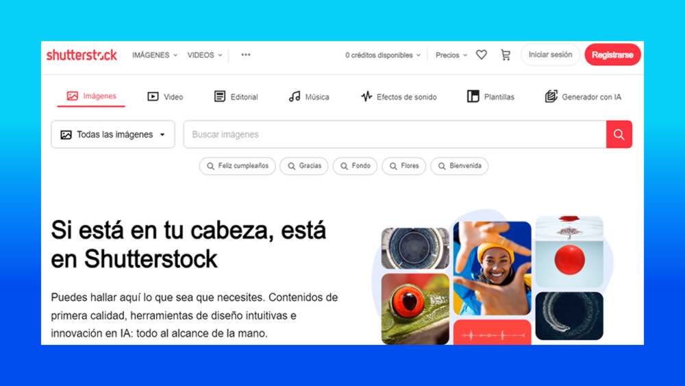 Shutterstock | Futurepedia